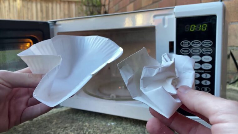 Can You Microwave Paper Plates? We Tested It!!!